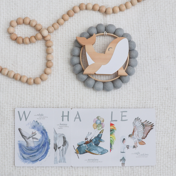 The Incredible ABC Flash Cards – Adored Illustrations