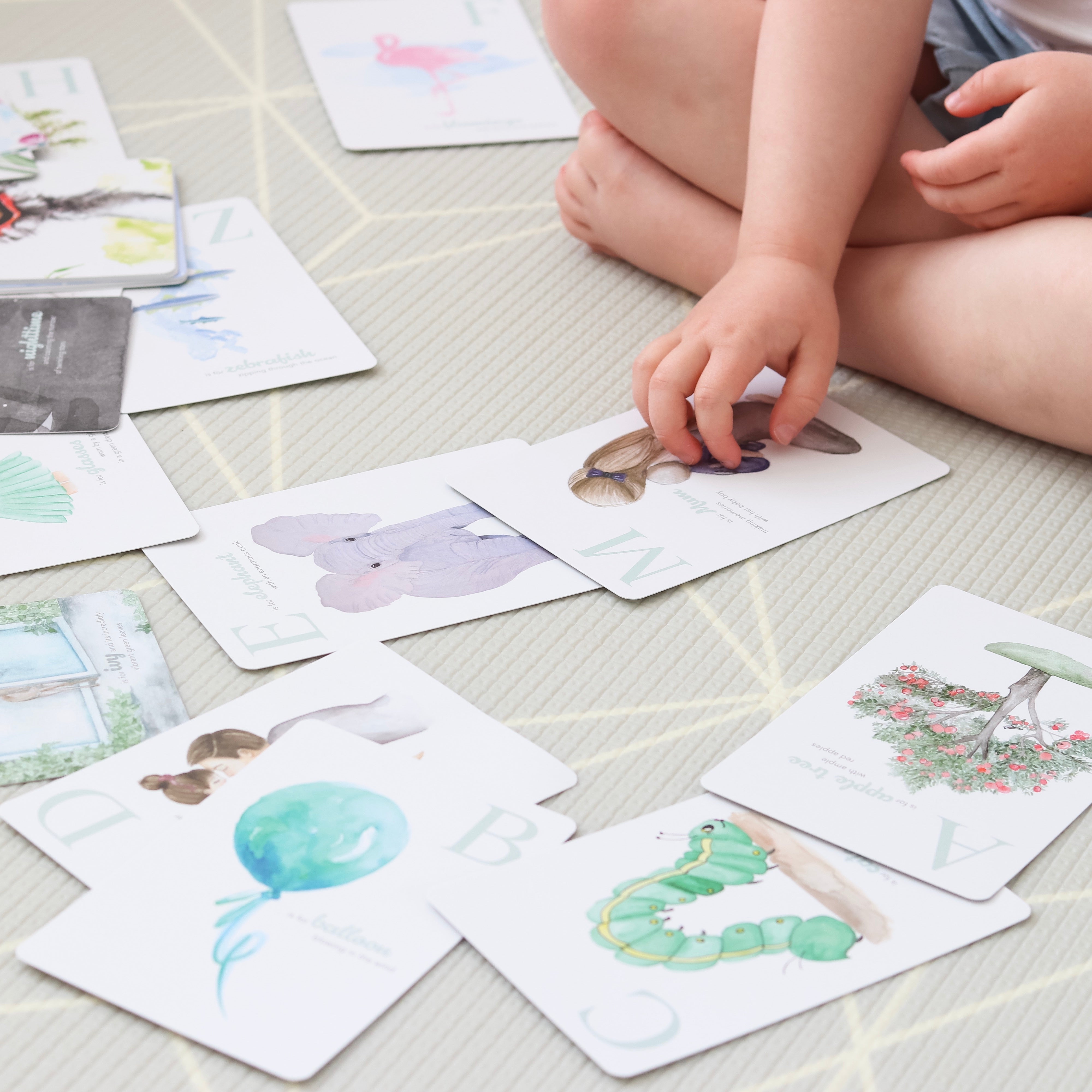 The Amazing ABC Bundle – Adored Illustrations